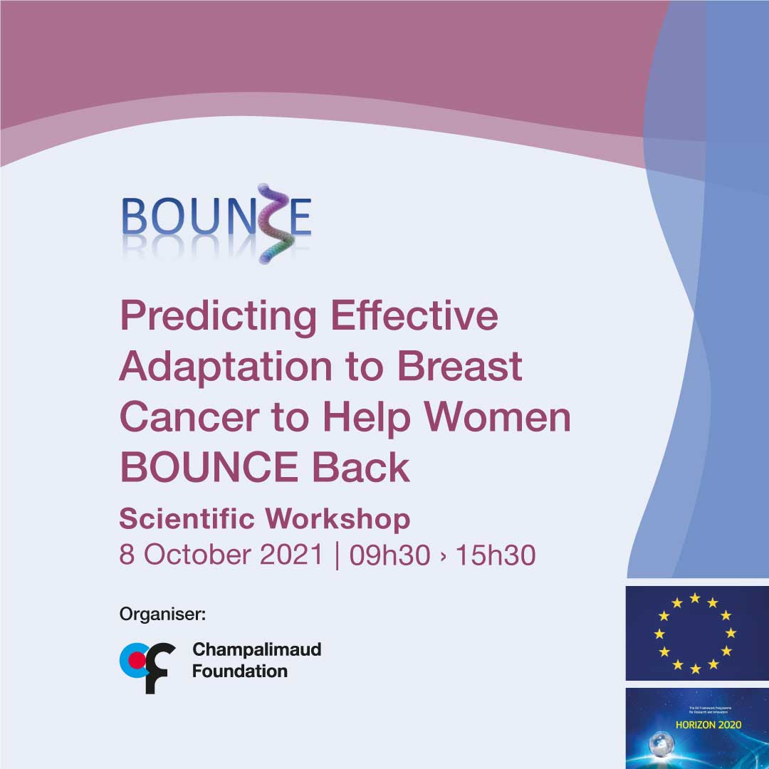 Fourth Dissemination Event of the European Project BOUNCE - BOUNCE project